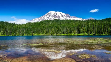 Mount Rainier Hd Wallpapers 4k Hd Backgrounds On Wallpaperbat