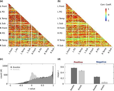 Functional Connectivity Profiles For The Awake And Anesthetized