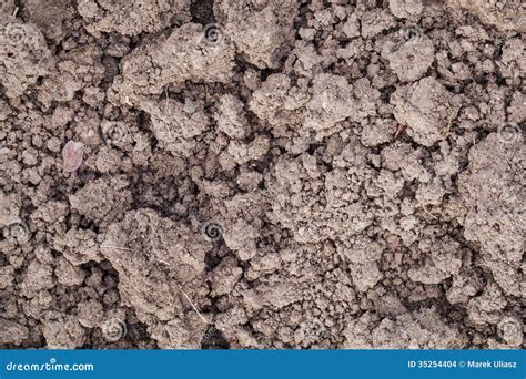 Sol De Jardin Dargile Photo Stock Image Du Saleté Herbe 35254404