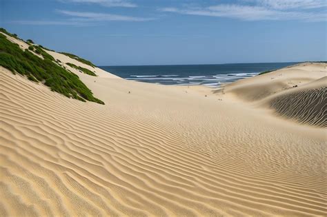 Premium Ai Image The Dunes At The Beach Are A Bit Like A Desert