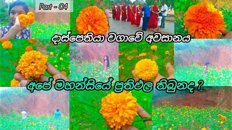 දාස්පෙතියා ඉවරයි 😮 ️ හිතුවෙ නෑ මෙහෙම වෙයි කියලා 🙄👌part 04 Garden Flowers Vlog