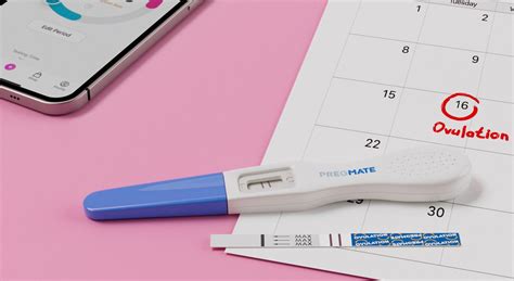 Ovulation And Pregnancy Tests