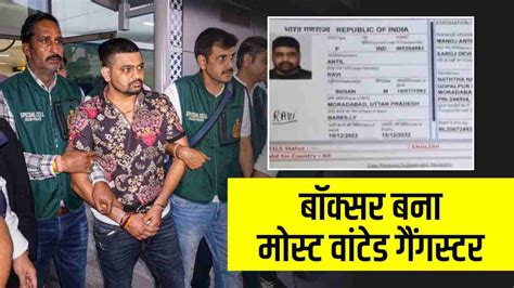 अमेरिका जाने की चाहत में फंसा दीपक बॉक्सर जानें कैसे Fbi ने पकड़ा भारत का मोस्ट वांटेड Most