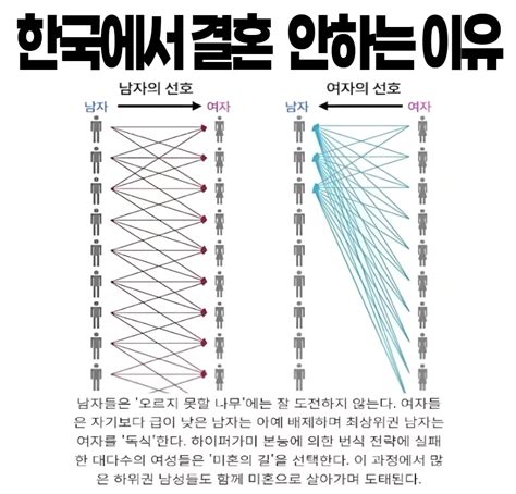 한국인이 점점 결혼을 안하는 이유 자유게시판 헬븐넷