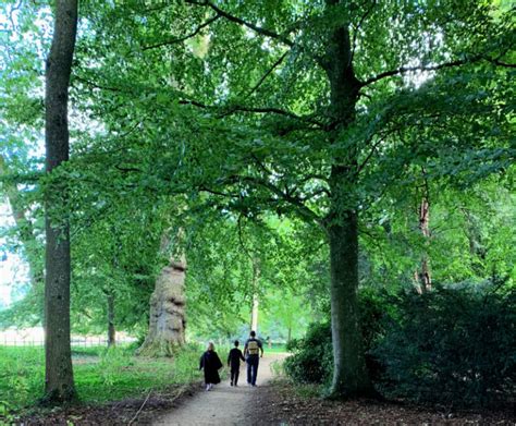 Finding Hogwarts At Lacock Abbey Destination Travel Blog