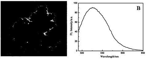 Fluorescent Biosensor Based On Cyclic Amplification Technology And Carboxyl Carbon Quantum Dots