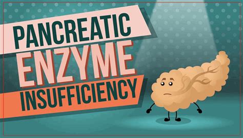 Comprendre linsuffisance pancréatique exocrine Canadian Digestive