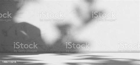 그림자 식물 배경 패턴 질감 추상 Linght 오버레이 테이블 디자인 여유 공간 벽 화이트 태양 인터 룸 템플릿 모형 책상 선반 프레젠테이션 0명에 대한 스톡 사진 및 기타