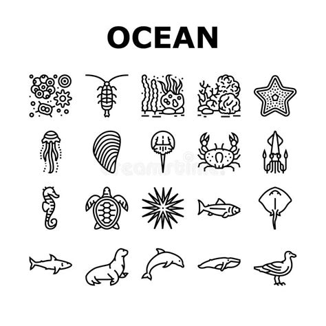 Océano Submarino Vida Colección Iconos Conjunto Vector Ilustración Del