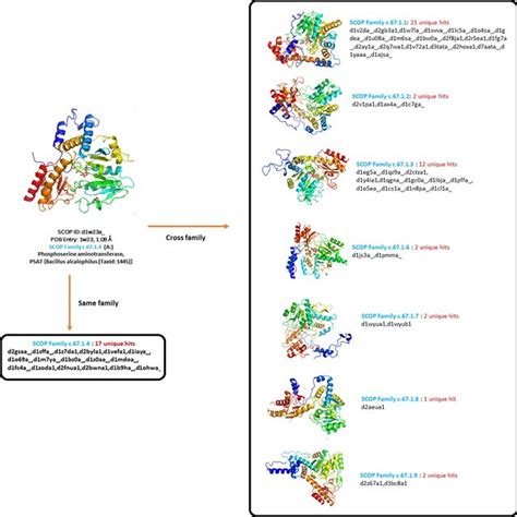 Three Dimensional Structure Of Phosphoserine Aminotransferase Psat Download Scientific Diagram