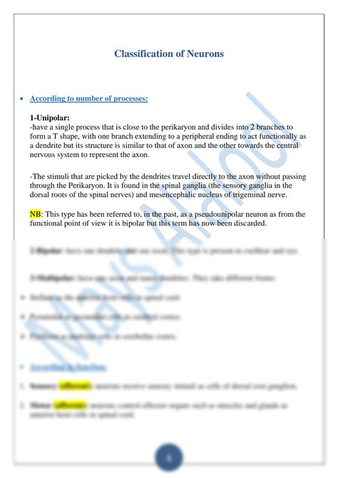 Solution Classification Of Neurons Studypool