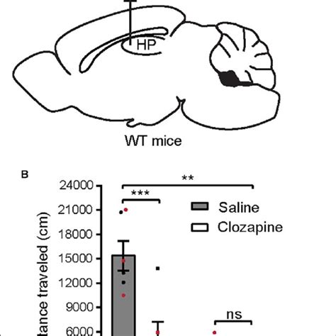 Systemic Clozapine Administration Attenuates Locomotor Hyperactivity