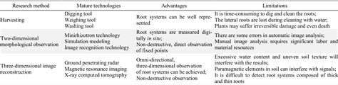 Advances In Root System Architecture Functionality Plasticity And