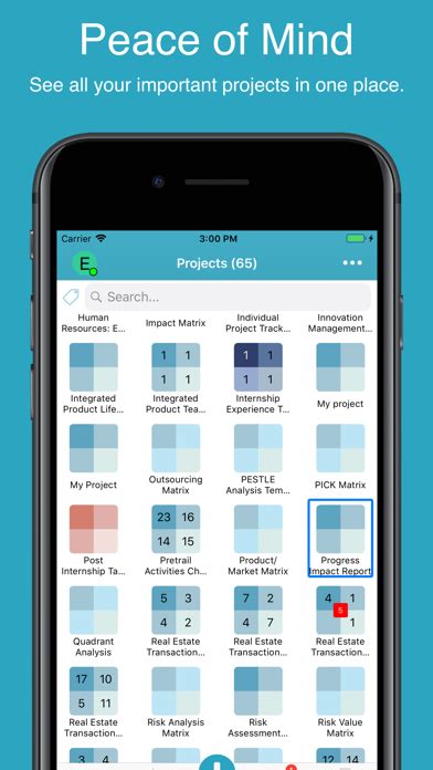 Priority Matrix Iphone App