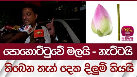 පොහොට්ටුවේ මලයි නැට්ටයි තිබෙන තැන් දෙක දිලුම් කියයි Rupavahini News Youtube