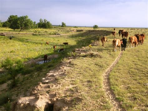 Cimg5346 798037489  Gmc At4 Forum