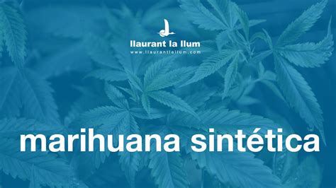 Descubre La Verdad Sobre La Marihuana Sintética