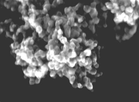 SEM A And STEM B Images Of TiO 2 Nanoparticles And SEM C And STEM Download Scientific