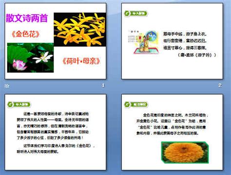 Ppt