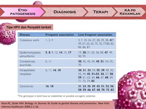 Presentation Kondiloma Akuminata Pdf
