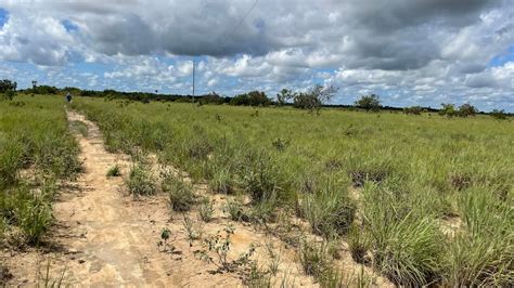 Fazenda Em Roraima Bonfim 107hectares Por 700 Mil Youtube