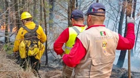 Medidas Preventivas Contra Incendios Forestales Durante El Periodo