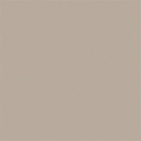 Rs40 Light Brown Solid Colour