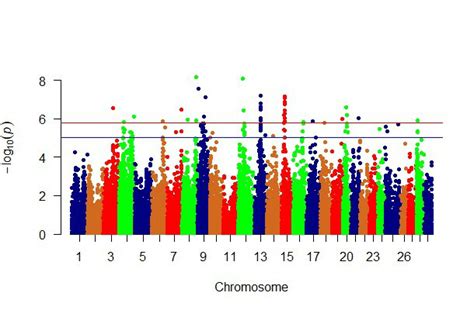 manhattan plot displaying single snp markers associated with variations