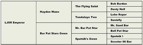 Lazy JS Ranch Stallions