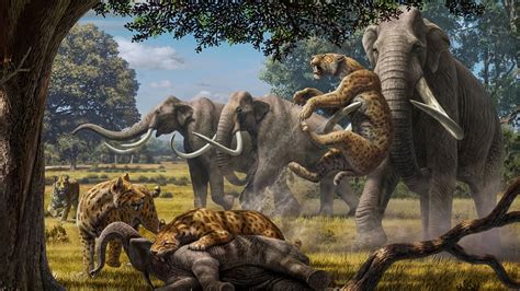 Even Giant Mammoths Werent Safe From Prehistoric Predators Science