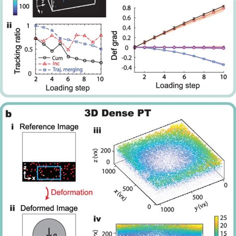 Tracking 3d Deformations A A 3d Shear Example Dudz ̸ 0 Dvdz ̸