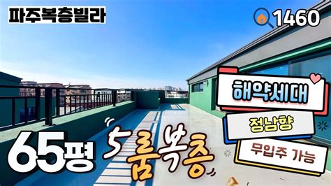 분양완료 💥무입주 가능💥엑기스 해약세대~ 채광 좋은 정남향 넓은 거실과 온전하게 사용 가능한 방이 5개‼️65평 5룸복층 파주신축빌라 Youtube