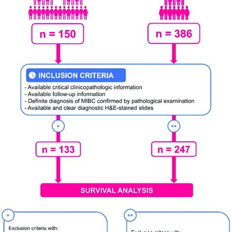 Inclusion And Exclusion Criteria For Both Cohorts The Algorithm Was