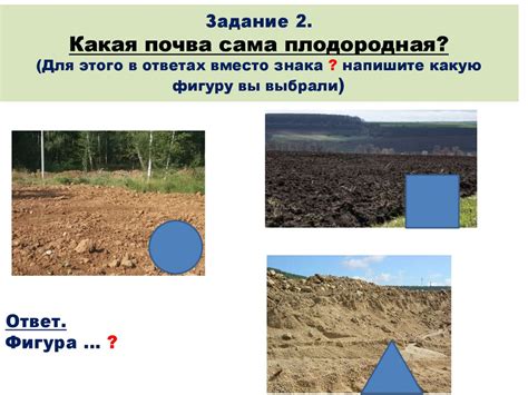 Почва её плодородие Значение обработки почвы презентация онлайн