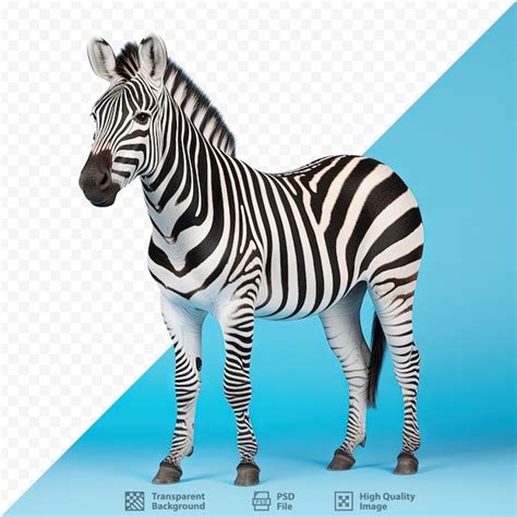 A Stunning Zebra With Stripes Is Upright Premium Ai Generated Psd