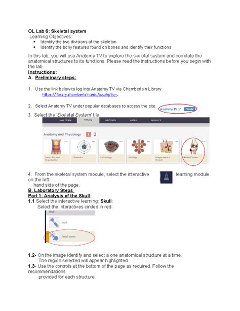 Final LABS BIOS Online Labs Week Skeletal System Lab OL Lab Skeletal System Learning