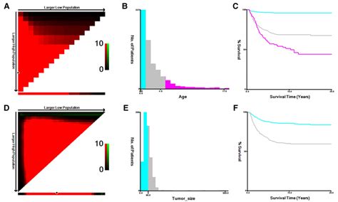 The Optimal Cutoff Values Of Age And Tumor Size Identified By X Tile