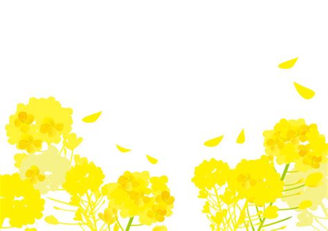 Brasika Ilustrasi Foto Stok Potret And Gambar Bebas Royalti Istock