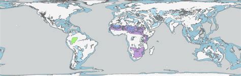 All The Earth Will Not Remember How Geographic Gaps Structure The Record Of Diversity And