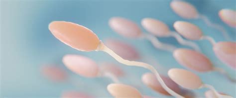 Cryopreservation Of Sperm And Testicular Tissue Val