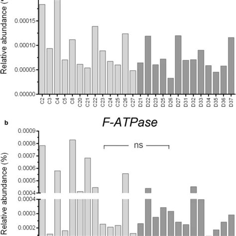 Comparison Of The Relative Abundance Of Functional Genes The Relative