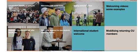 Adding Multiple Image Or Text Blocks In A Section To Be Full Bleed And Equal Width And In A