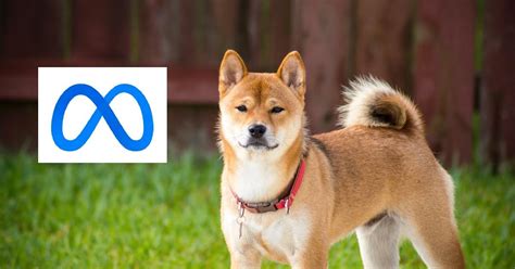 How To Buy Land In Shib The Metaverse