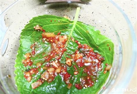 깻잎김치와 깻잎조림 깻잎으로 두가지 밑반찬 만들기