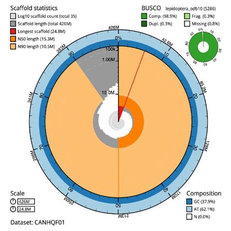 Genome Assembly Of Caradrina Kadenii Ilcarkade1 1 Blobtoolkit