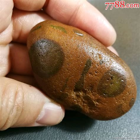 010北京区号一块长江石螺化石奇石籽料70克上面有天然图案数字010北京 长江石 不二天珠收藏7788收藏 收藏热线