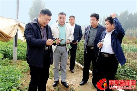 萊蕪市供銷社加強農業服務體系建設在田間地頭召開現場會 每日頭條