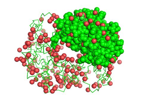 Selection Algebra PyMOL Wiki