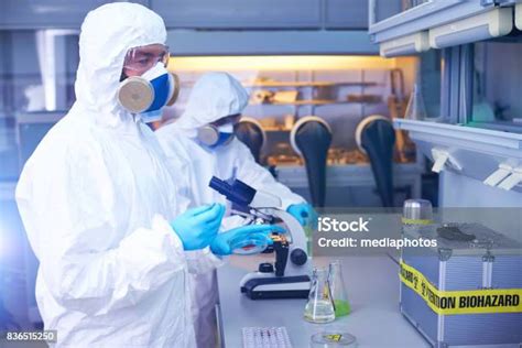 생물 학적 물질을 연구 하는 기술 Stem 주제에 대한 스톡 사진 및 기타 이미지 Stem 주제 건강 검진 건강관리와