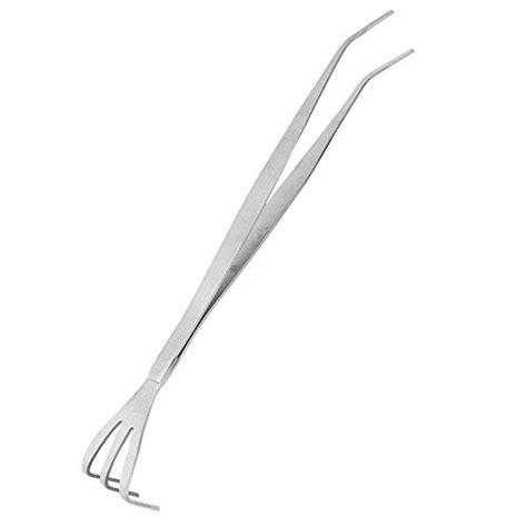 The 26 Best Bonsai Tweezers Of 2024 Verified Cherry Picks
